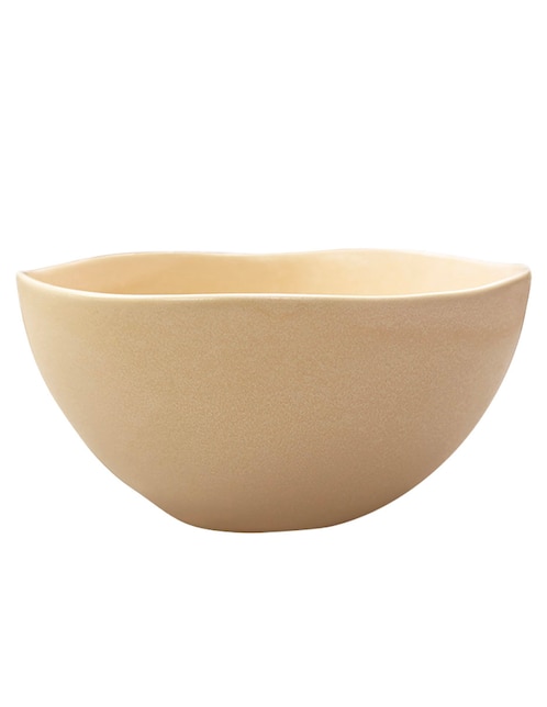 Bowl Haus Rowan de cerámica 1